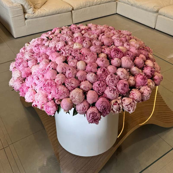 Box of pink peonies Morning Dew bouquet by Flower Power Dubai, luxury ...