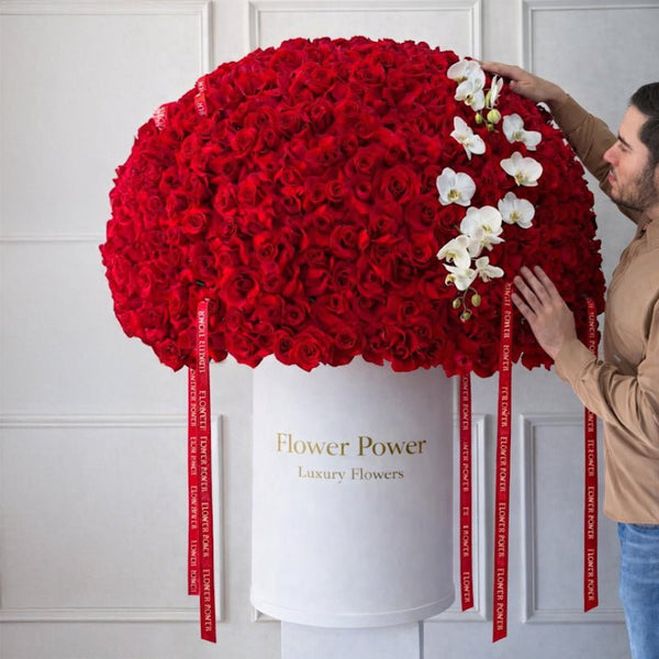 Box of red roses and white orchids Orchid Flame bouquet by Flower Power ...