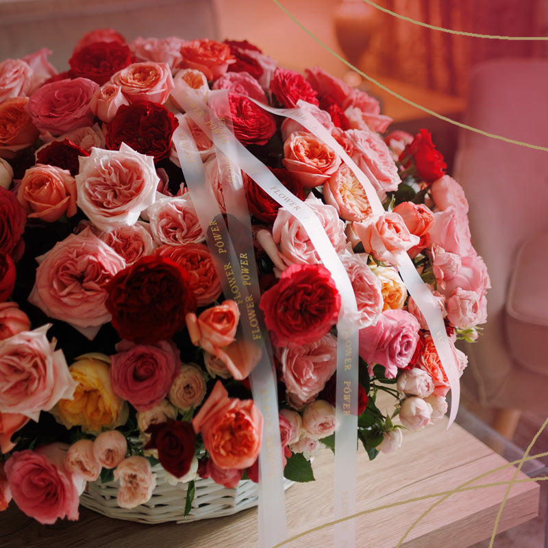 Basket Collection